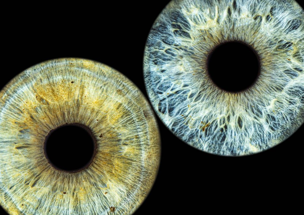 EYEMAZY, portrait de famille revisité - Toutma